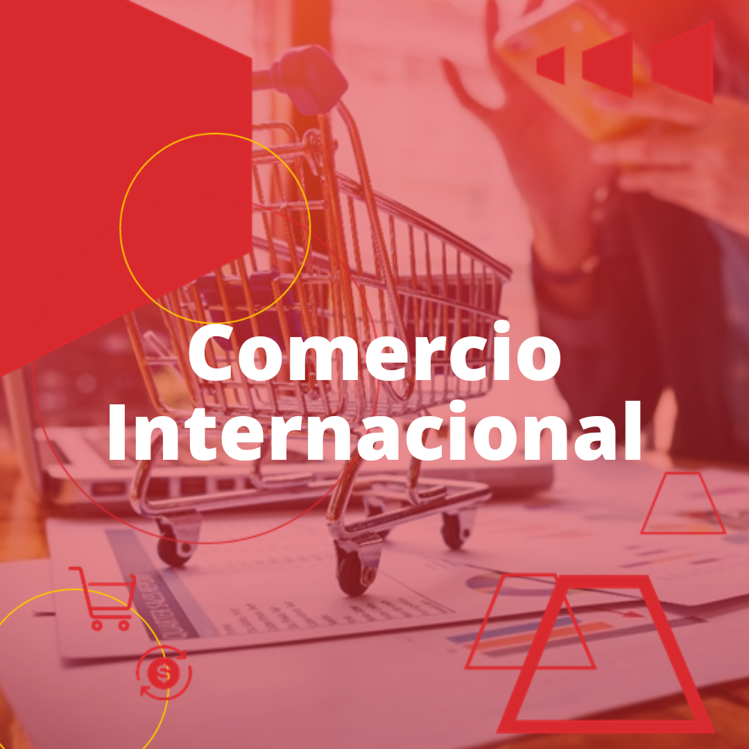 Comercio Internacional (16001)